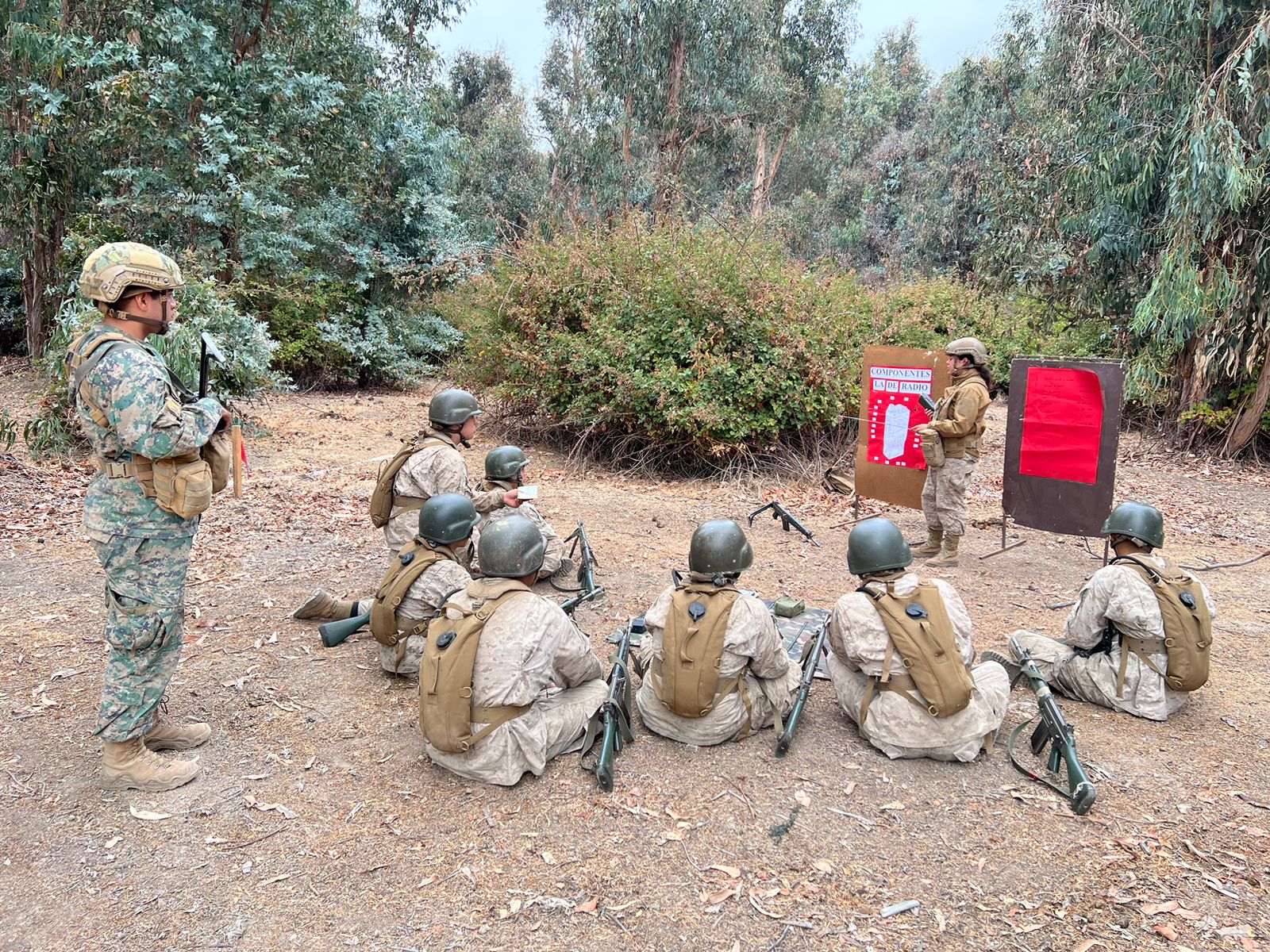 Prensa y Multimedia - Ejército de Chile