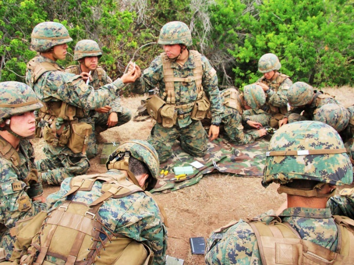 Prensa y Multimedia - Ejército de Chile